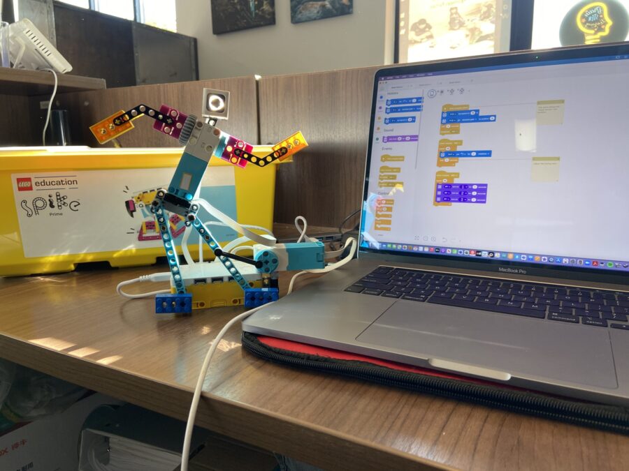 Punch Cards - BrainSTEM Learning Canada